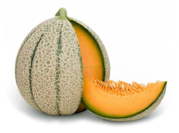Melón Cantaloup – Fruverpack